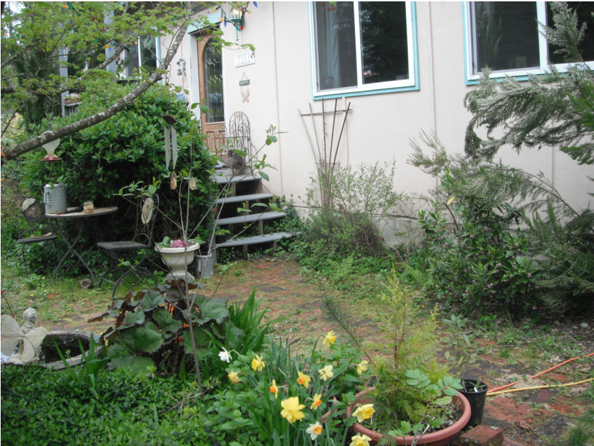Consultations | Native Plants PNW